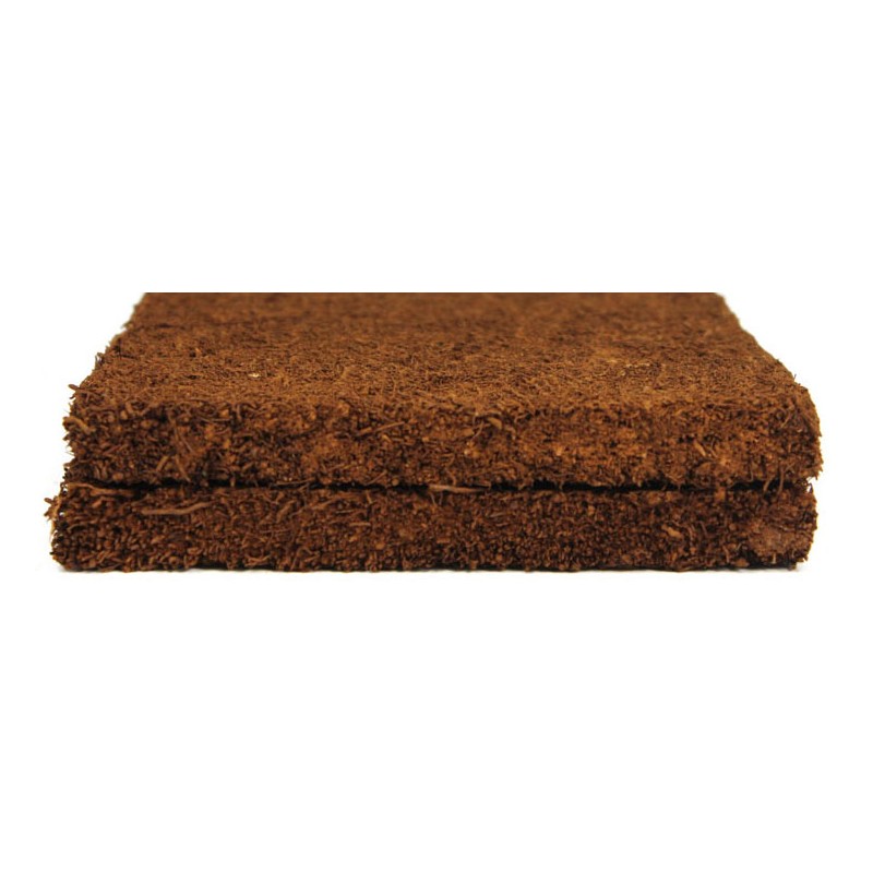 Wholesale Tree Fern Tropical Background Panels