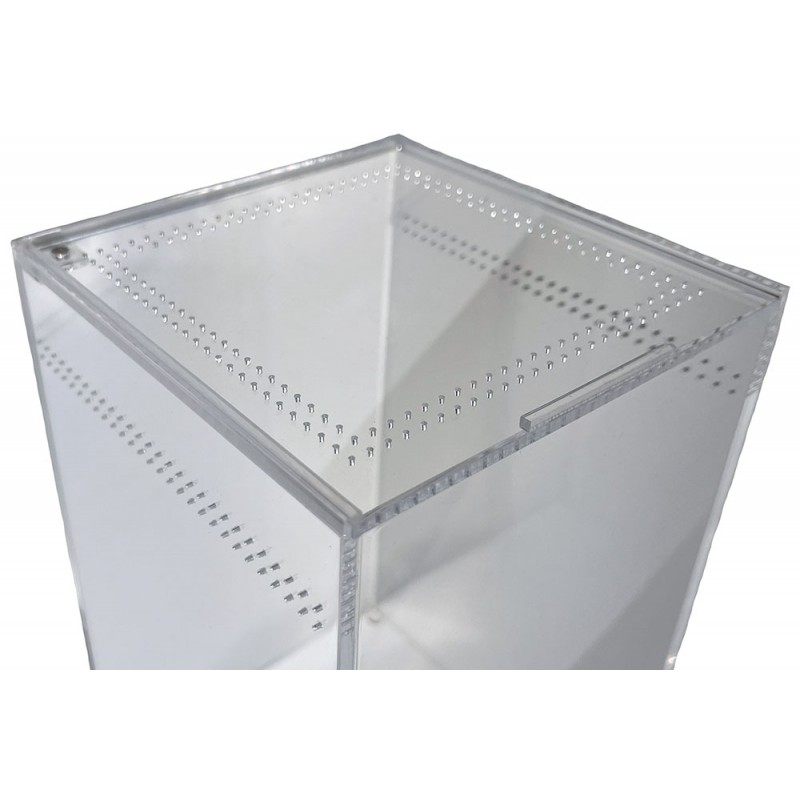 Wholesale Lugarti Tarantula Enclosure